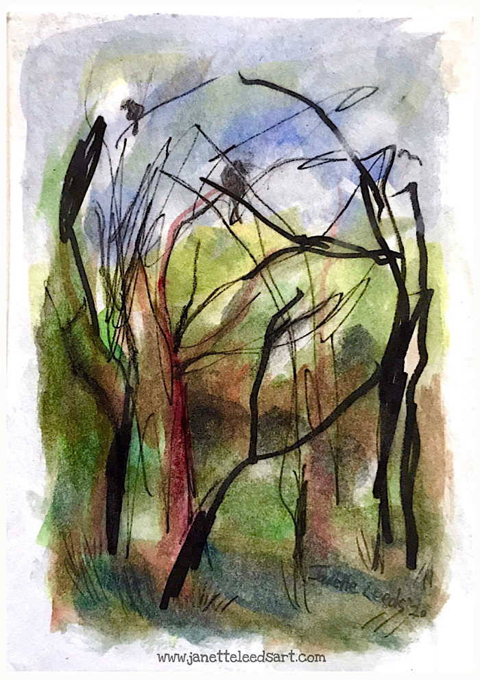 A Few Drawings – Janette Leeds Art