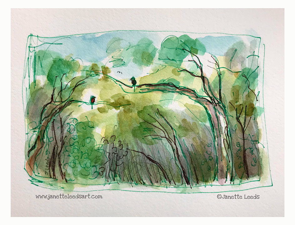 Tree-Scape – Janette Leeds Art